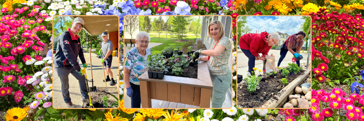 Planting Days 2025: A Blooming Success - GEF Seniors Housing